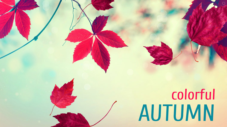 Autumn Experiment | LayerSlider Premium Slider Template