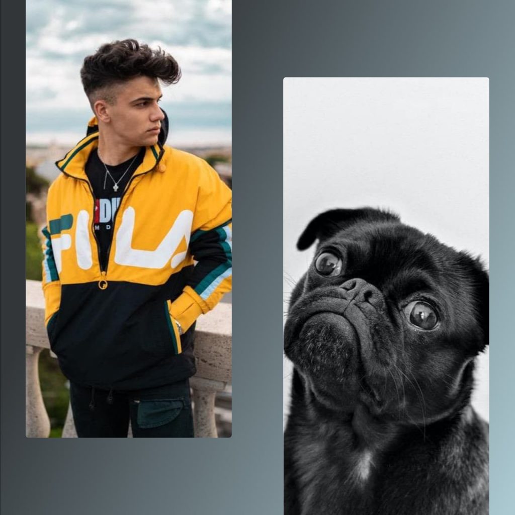 People | LayerSlider Premium Slider Template