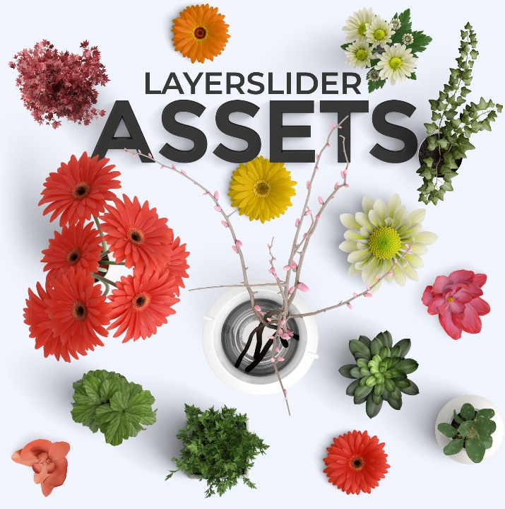 LayerSlider – The most advanced Animation Builder for WordPress with ...